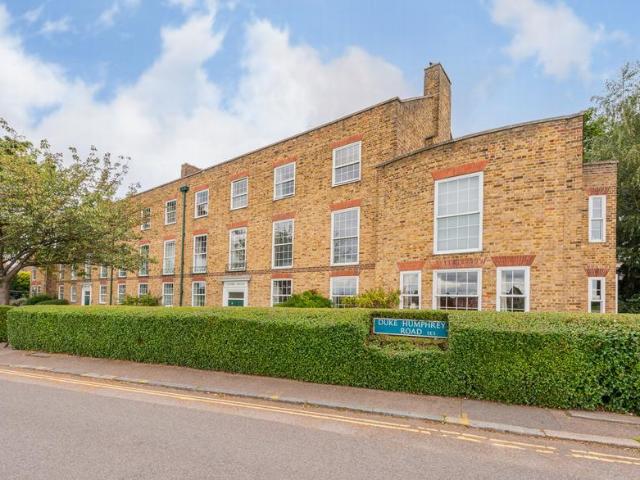 3 bedroom flat to rent
