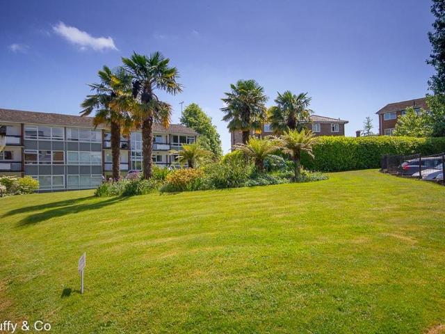 3 bedroom flat to rent