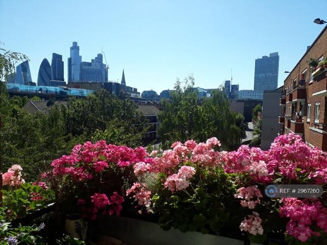 3 bedroom flat to rent