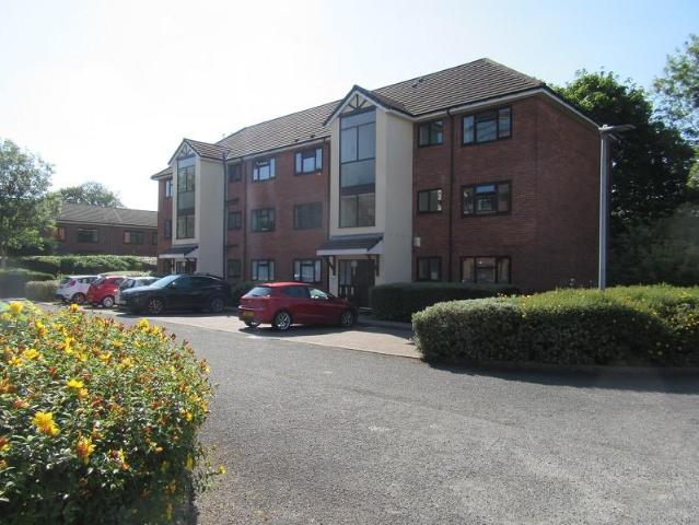 3 bedroom flat to rent