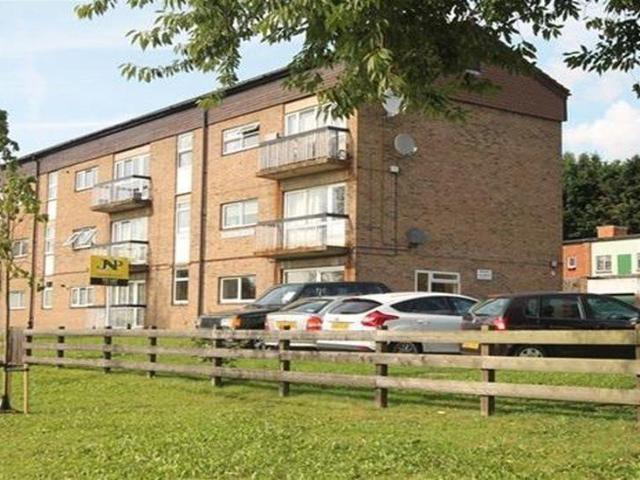 3 bedroom flat to rent