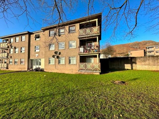 3 bedroom flat to rent