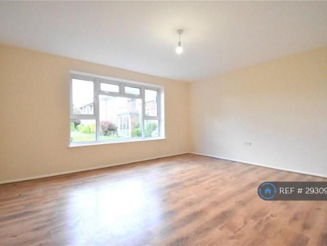 3 bedroom flat to rent