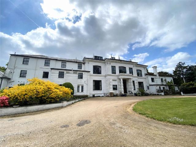 3 bedroom flat to rent