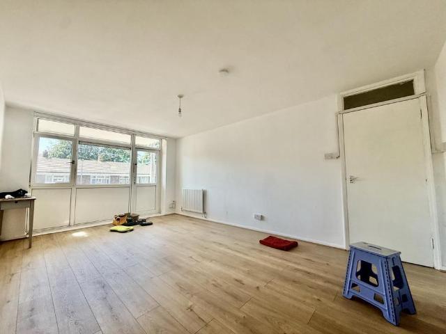 3 bedroom flat to rent