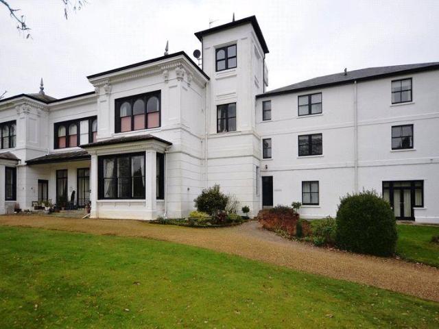 3 bedroom flat to rent