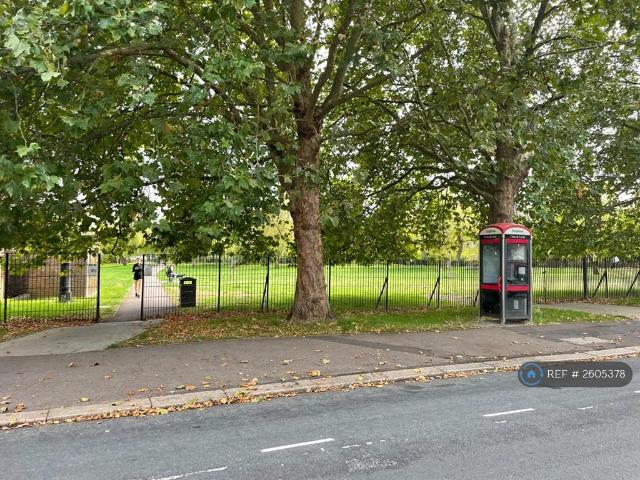 3 bedroom flat to rent