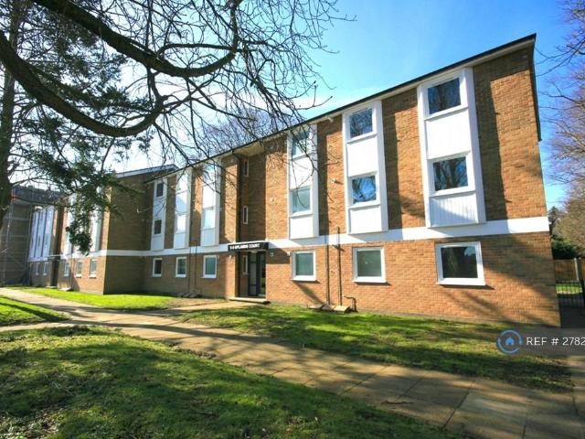 3 bedroom flat to rent