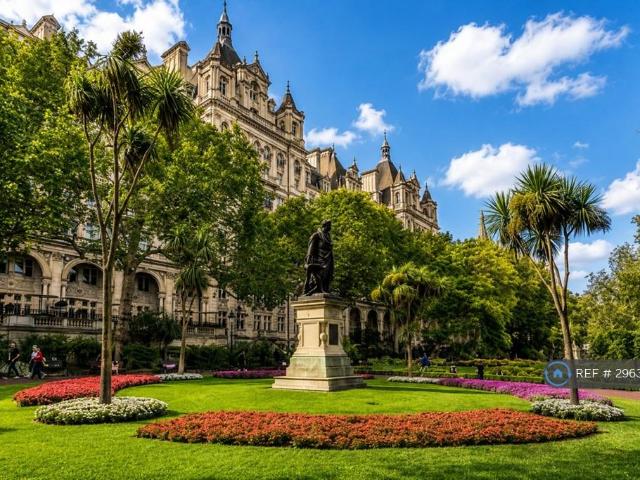 3 bedroom flat to rent