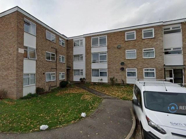 3 bedroom flat to rent