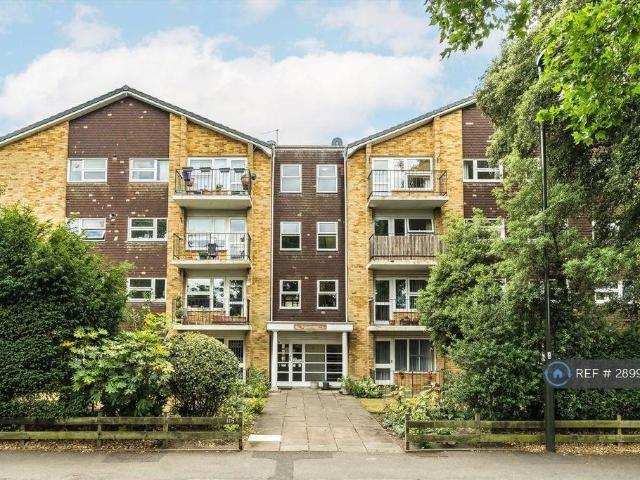 3 bedroom flat to rent