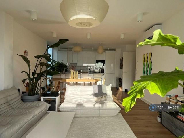 3 bedroom flat to rent