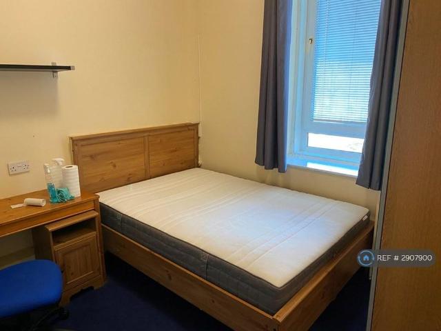 3 bedroom flat to rent