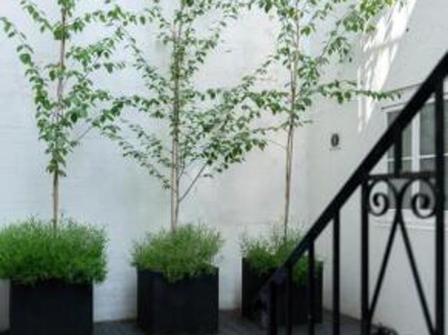 3 bedroom flat for sale in Brighton, East Sussex, BN2