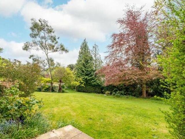 3 Bedroom Flat For Rent In Wimbledon, London