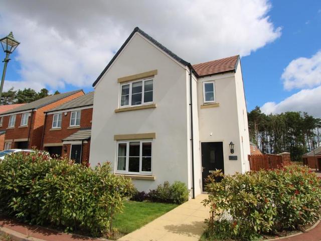 3 bedroom house for sale