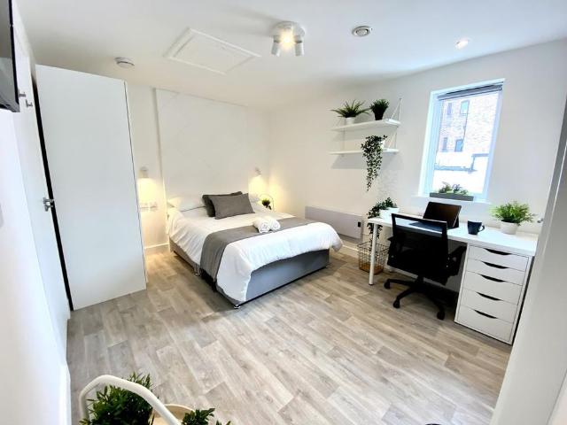 3 bedroom house of multiple occupation to rent