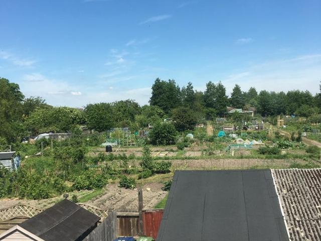 3 bedroom house nr.mill road, available 1st of Sep
