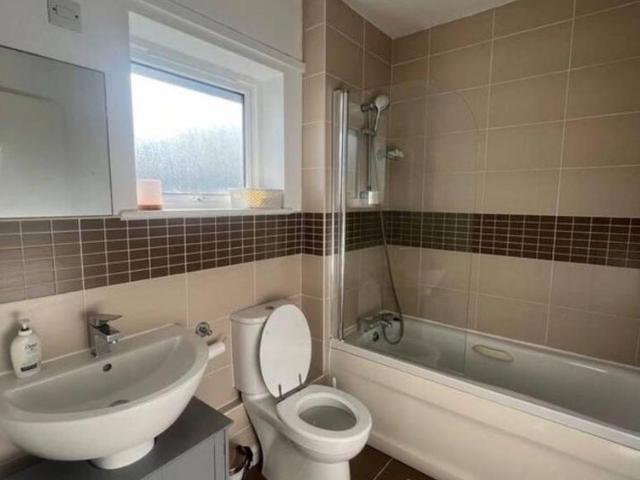 3 bedroom house share to rent