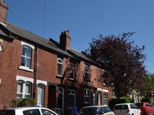 3 bedroom house share to rent