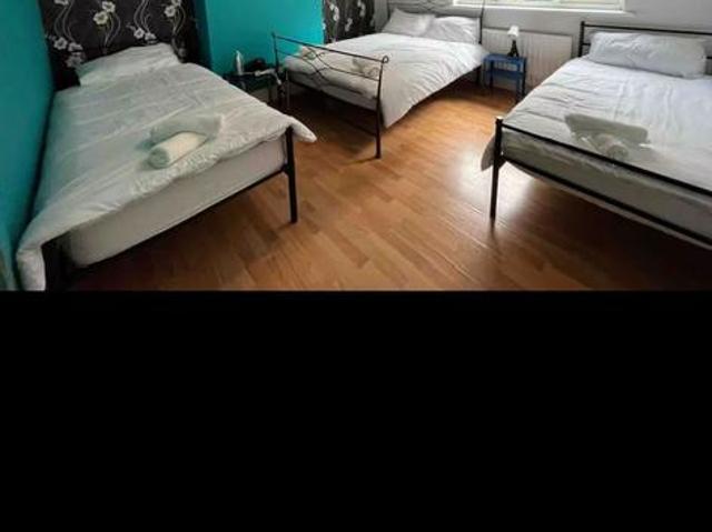 3 bedroom house share to rent