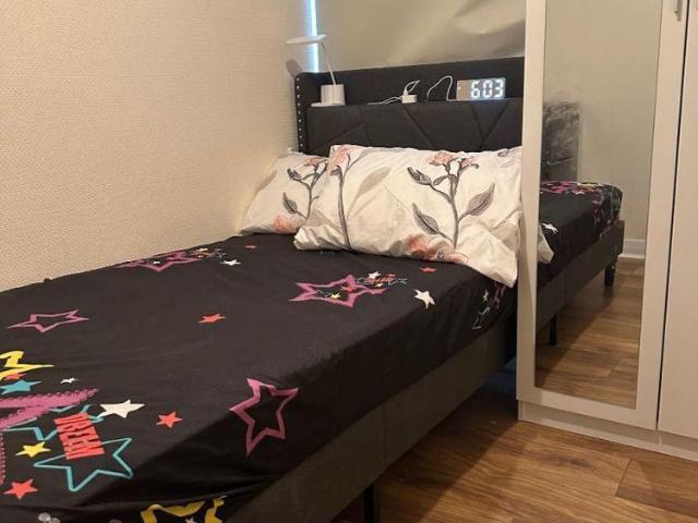 3 bedroom house share to rent