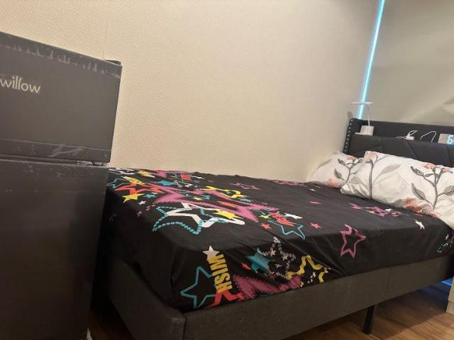3 bedroom house share to rent