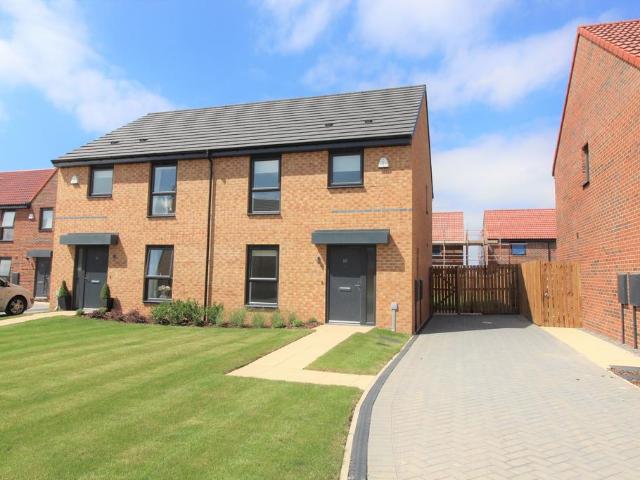 3 bedroom house to rent