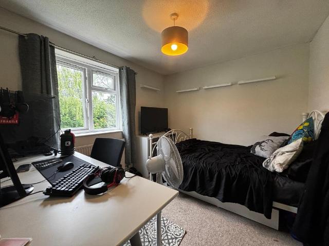 3 bedroom house to rent