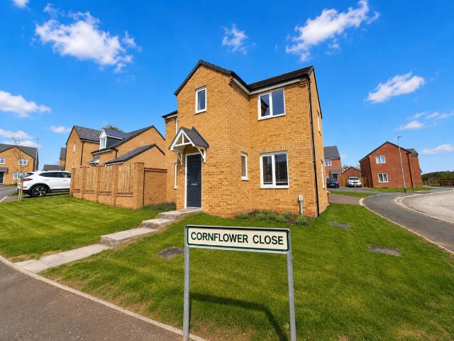 3 bedroom House To Rent