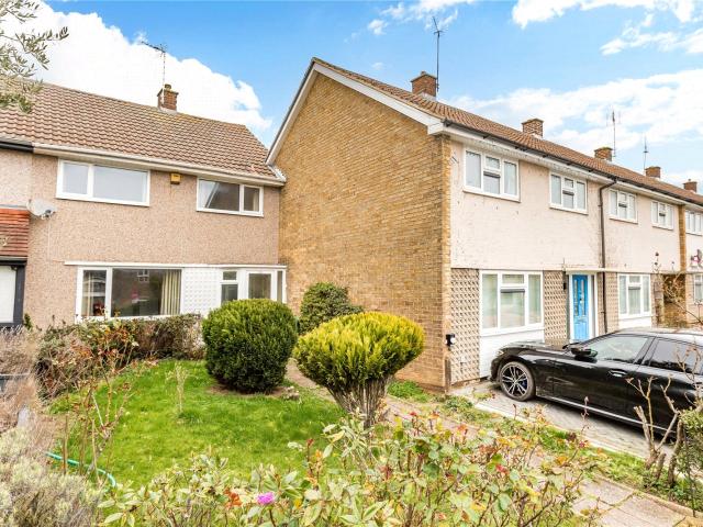 3 bedroom house to rent