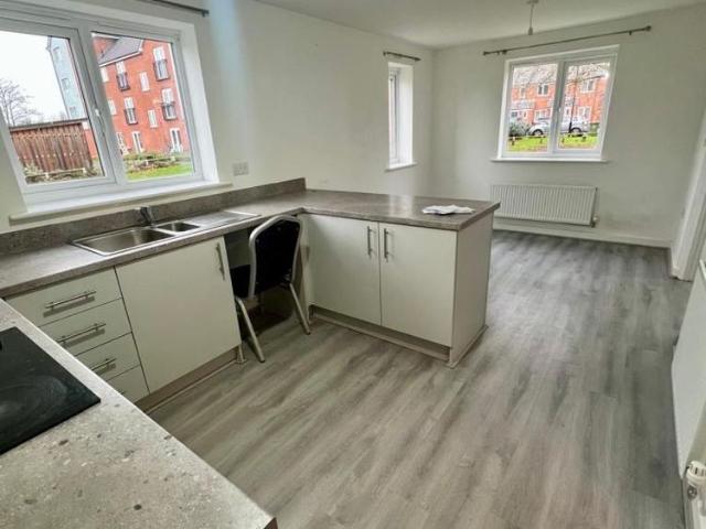 3 bedroom house to rent