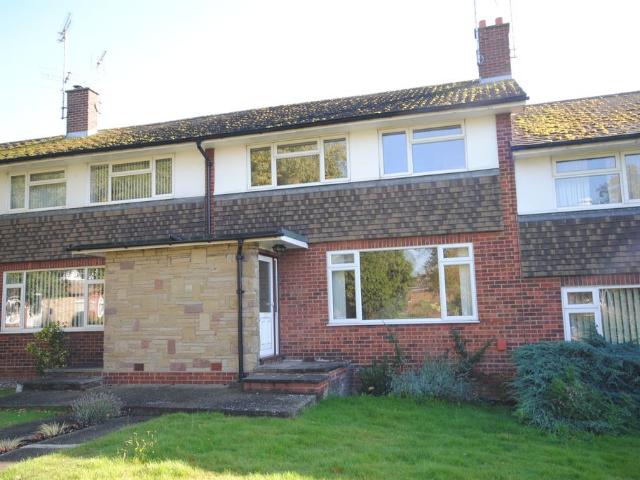 3 bedroom house to rent