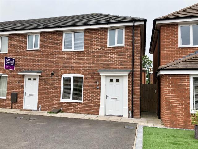 3 bedroom house to rent