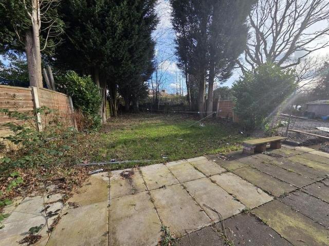 3 bedroom house to rent