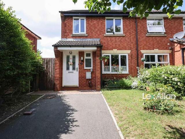 3 bedroom house to rent