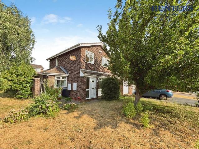 3 bedroom house to rent