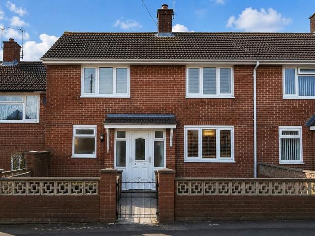 3 bedroom house to rent