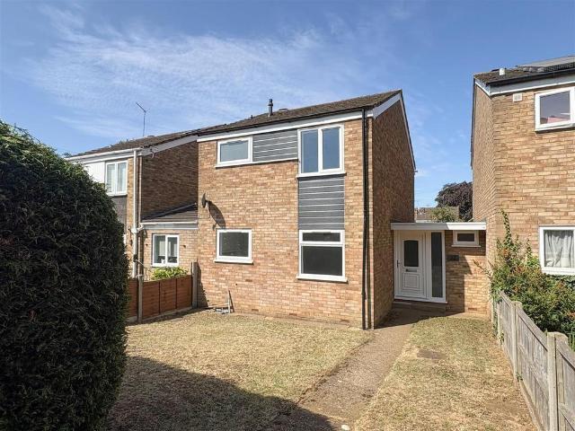 3 bedroom house to rent