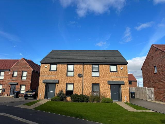 3 bedroom house to rent