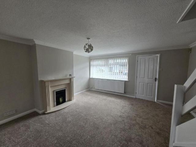 3 bedroom house to rent