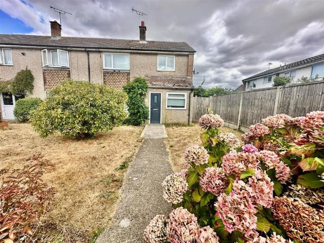3 bedroom house to rent