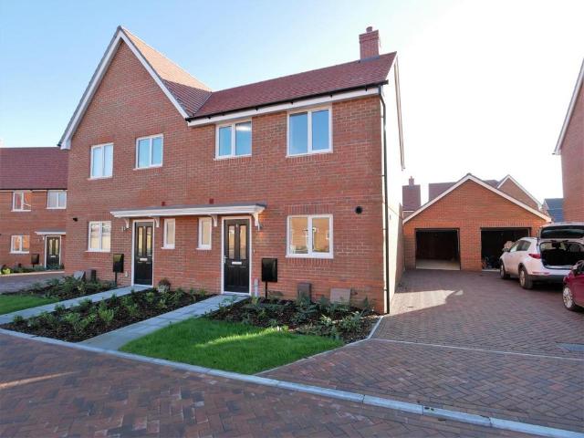 3 bedroom house to rent