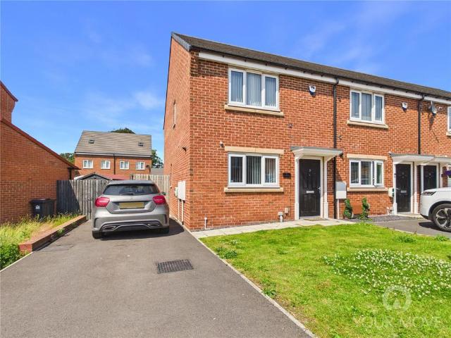 3 bedroom house to rent