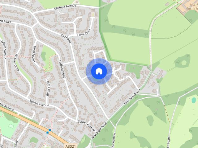 3 bedroom house to rent