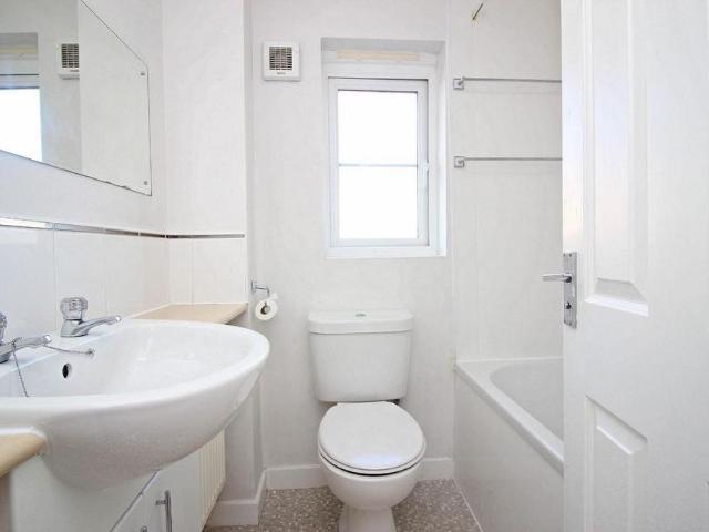 3 bedroom house to rent
