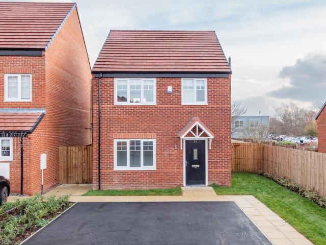 3 bedroom house to rent