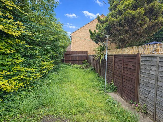 3 bedroom house to rent