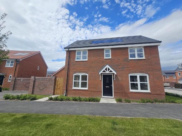 3 bedroom house to rent