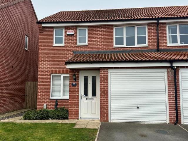 3 bedroom house to rent